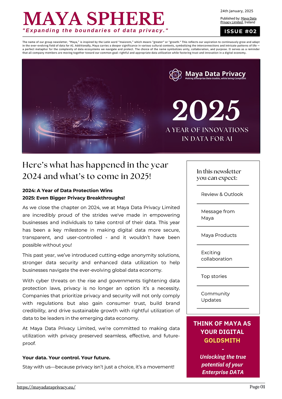 Newsletter | Maya Data Privacy